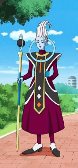 Déguisement DBS Whis (Uisu) | DBZ Store